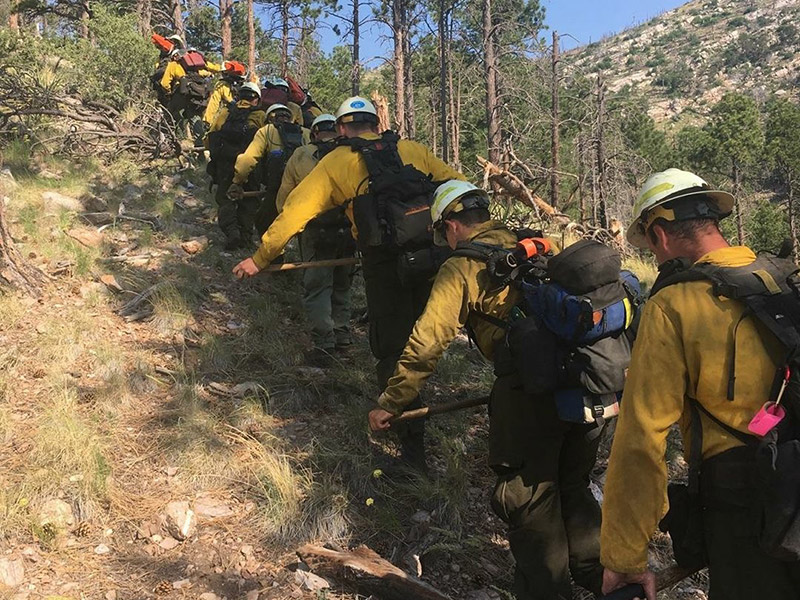 Apply For A Job | Firestorm